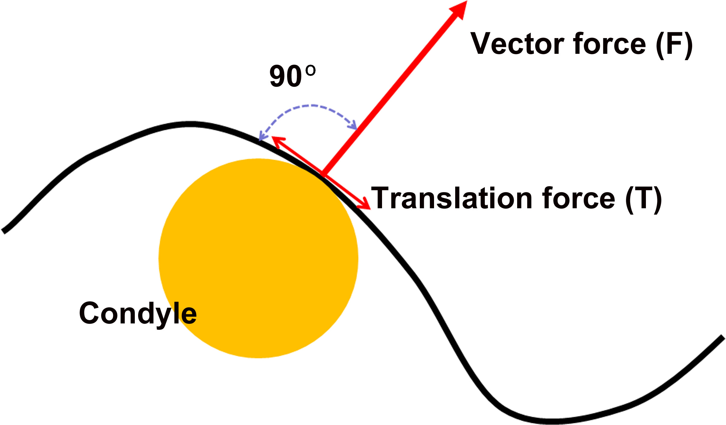 Dental News - Occlusion principles for the practising dentist in the ...
